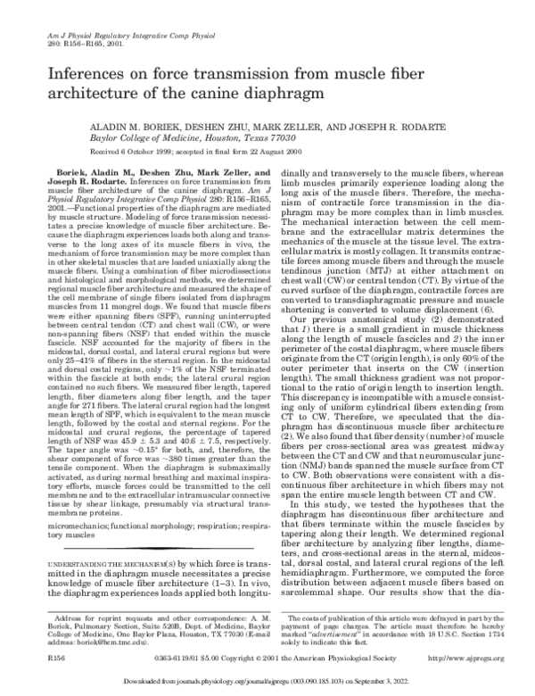 (PDF) Inferences on force transmission from muscle fiber architecture ...