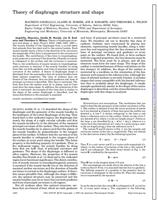 (PDF) Theory of diaphragm structure and shape