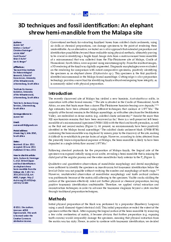 (PDF) 3D techniques and fossil identification: An elephant shrew hemi ...