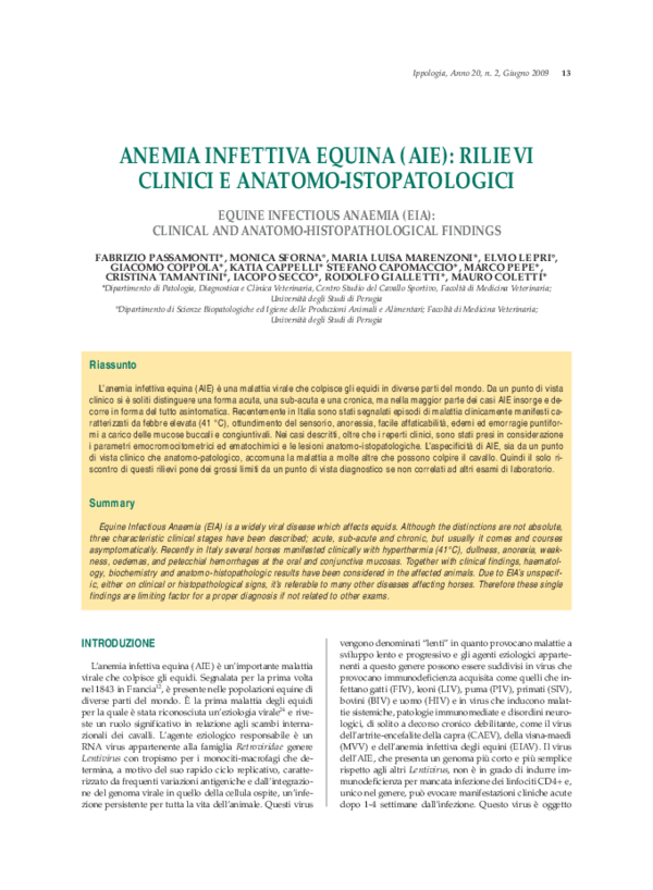 (PDF) Equine Infectious Anaemia (EIA): clinical and anatomo ...
