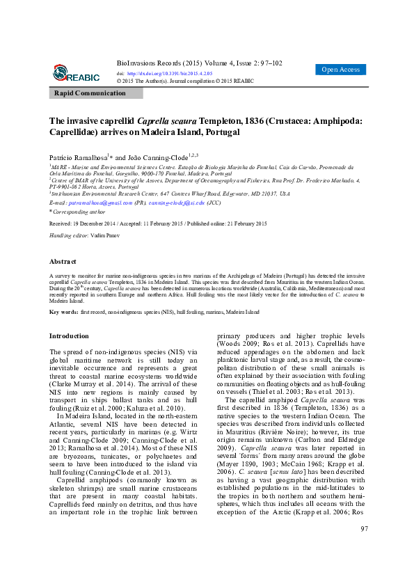 (PDF) The invasive caprellid Caprella scaura Templeton, 1836 (Crustacea ...