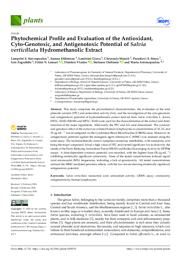 (PDF) Phytochemical Profile and Evaluation of the Antioxidant, Cyto ...