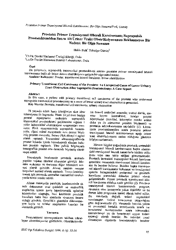 (PDF) Prostatın Primer Transizyonel Hücreli Karsinoması; Suprapubik ...