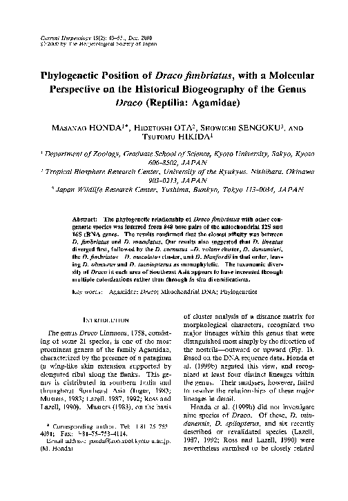 (PDF) Phylogenetic Position of Draco fimbriatus, with a Molecular ...