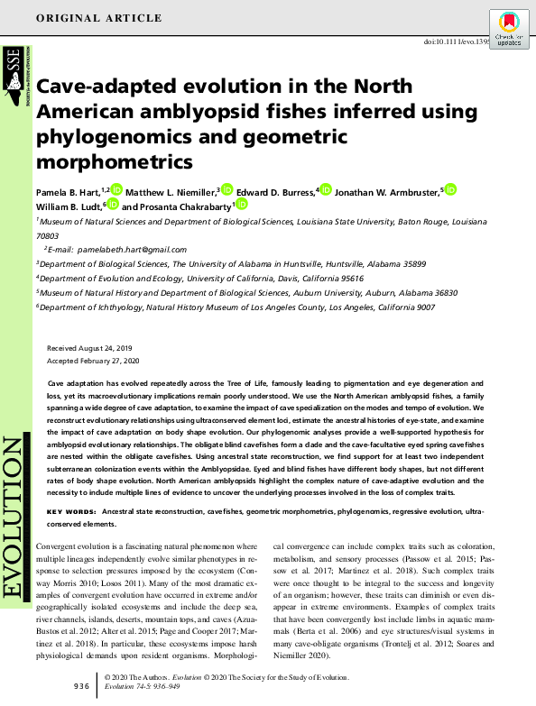 (PDF) Cave‐adapted evolution in the North American amblyopsid fishes ...