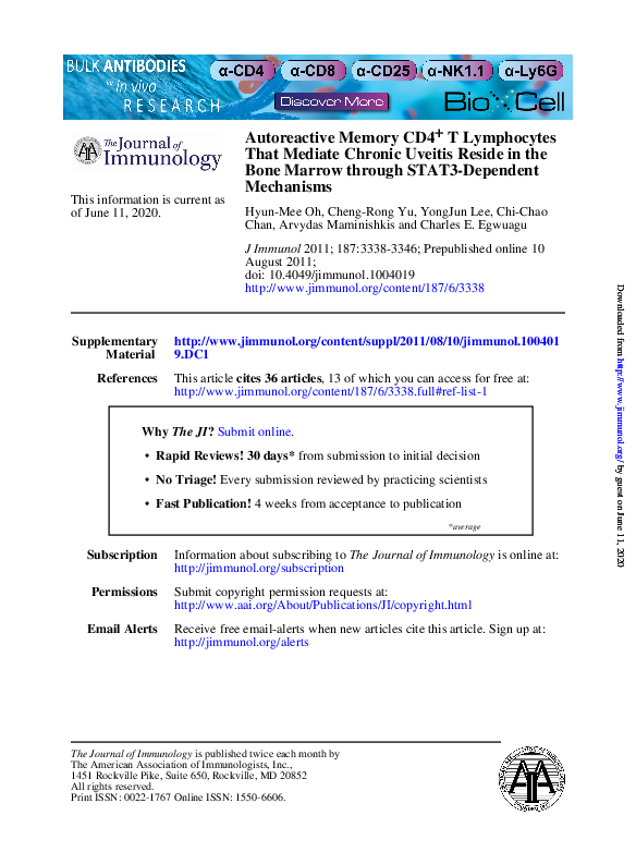 (PDF) Autoreactive Memory CD4+ T Lymphocytes That Mediate Chronic ...