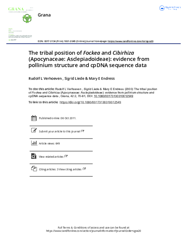 (PDF) The tribal position of Fockea and Cibirhiza (Apocynaceae ...