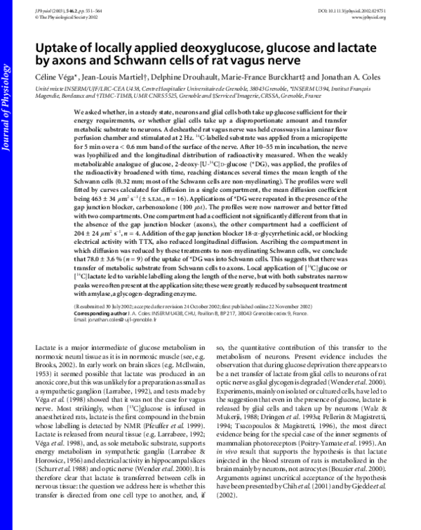 (PDF) Uptake of locally applied deoxyglucose, glucose and lactate by ...