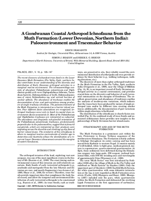 (PDF) A Gondwanan Coastal Arthropod Ichnofauna from the Muth Formation ...