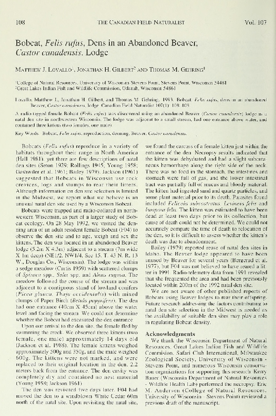 (PDF) Bobcat, Felis rufus, dens in an abandoned Beaver, Caster ...