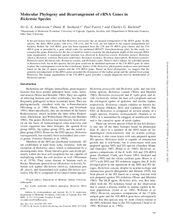 (PDF) Molecular phylogeny and rearrangement of rRNA genes in Rickettsia ...