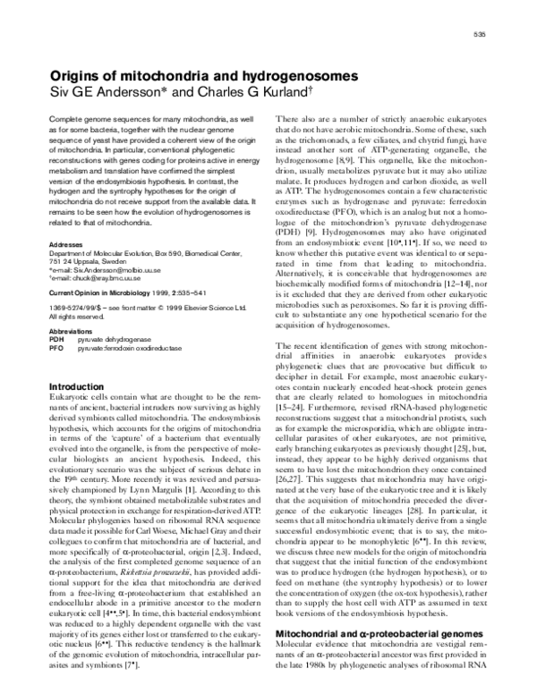 (PDF) Origins of mitochondria and hydrogenosomes