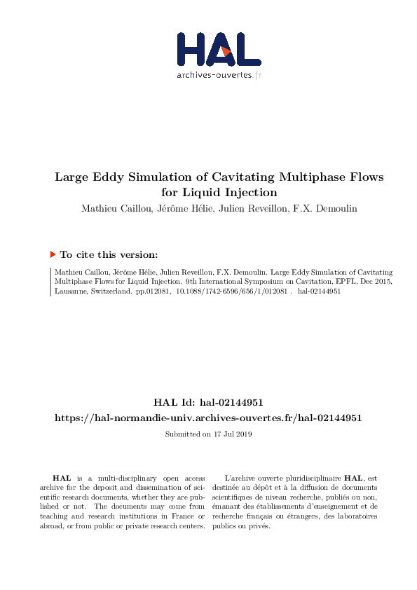 (PDF) Large Eddy Simulation of a Cavitating Multiphase Flow for Liquid ...