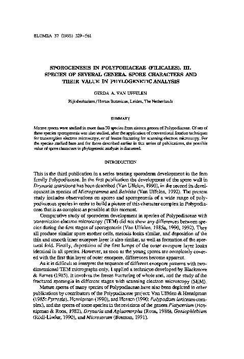 (PDF) Sporogenesis in Polypodiaceae (Filicales). III. Species of ...