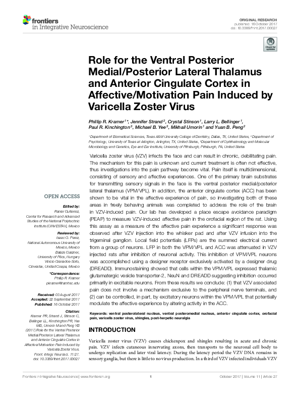 (PDF) Role for the Ventral Posterior Medial/Posterior Lateral Thalamus ...