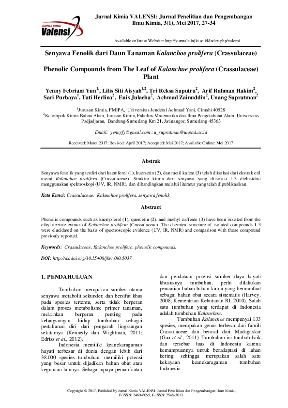 (PDF) Senyawa Fenolik dari Daun Tanaman Kalanchoe prolifera (Crassulaceae)