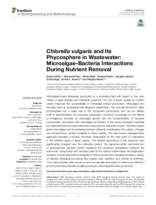 (PDF) Chlorella vulgaris and Its Phycosphere in Wastewater: Microalgae ...