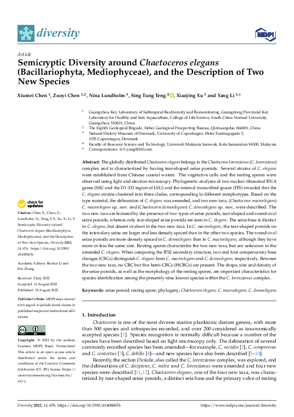 (PDF) Semicryptic Diversity around Chaetoceros elegans (Bacillariophyta ...