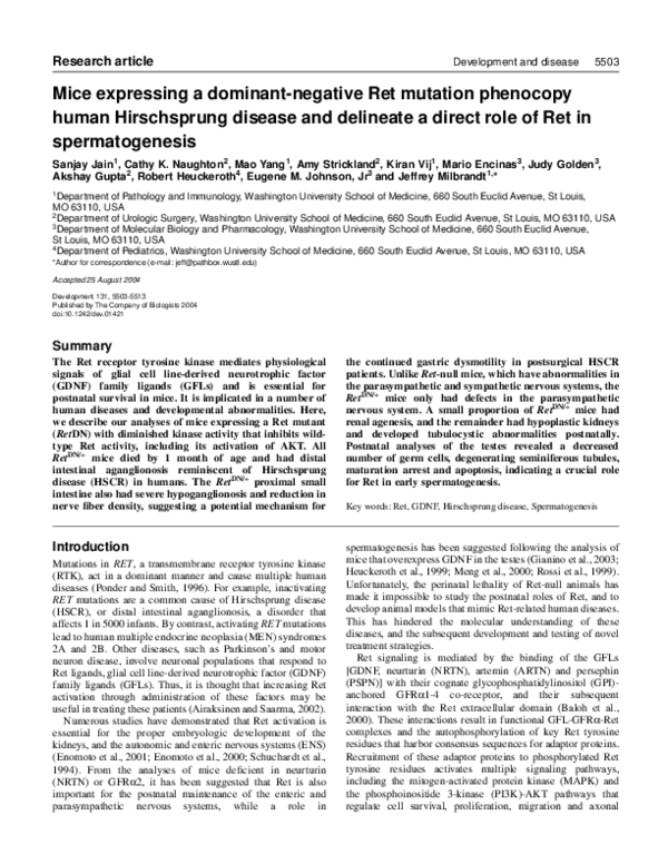 (PDF) Mice expressing a dominant-negative Ret mutation phenocopy human ...