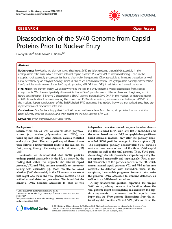 (PDF) Disassociation of the SV40 Genome from Capsid Proteins Prior to ...