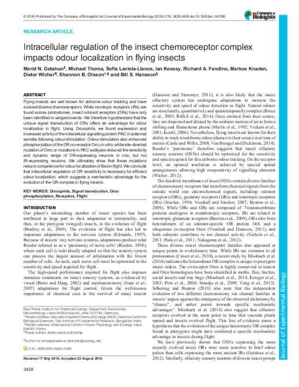 (PDF) Intracellular regulation of the insect chemoreceptor complex ...