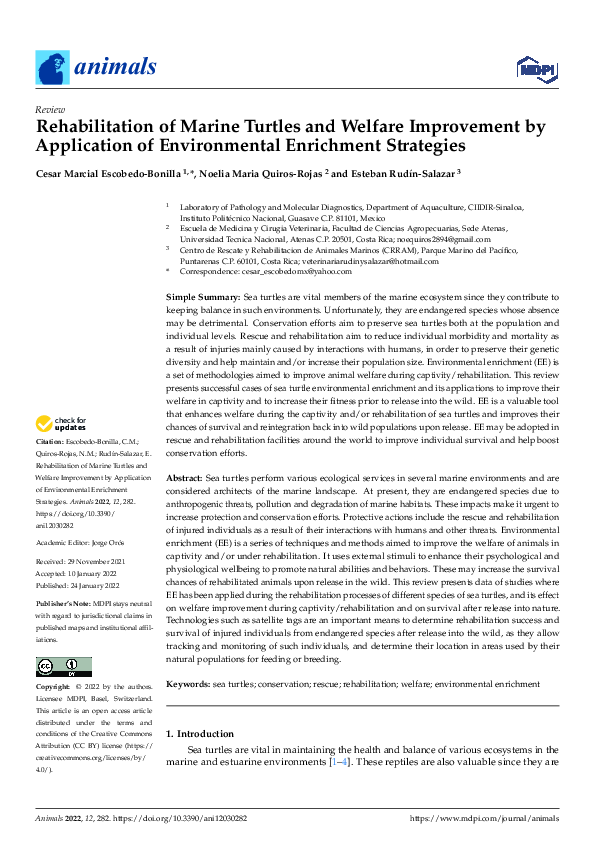 (PDF) Rehabilitation of Marine Turtles and Welfare Improvement by ...