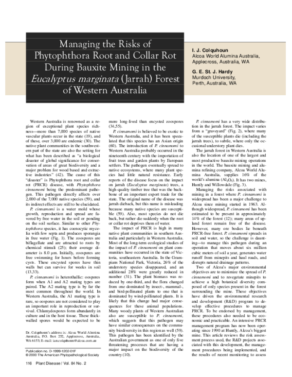 (PDF) Managing the Risks of Phytophthora Root and Collar Rot During ...