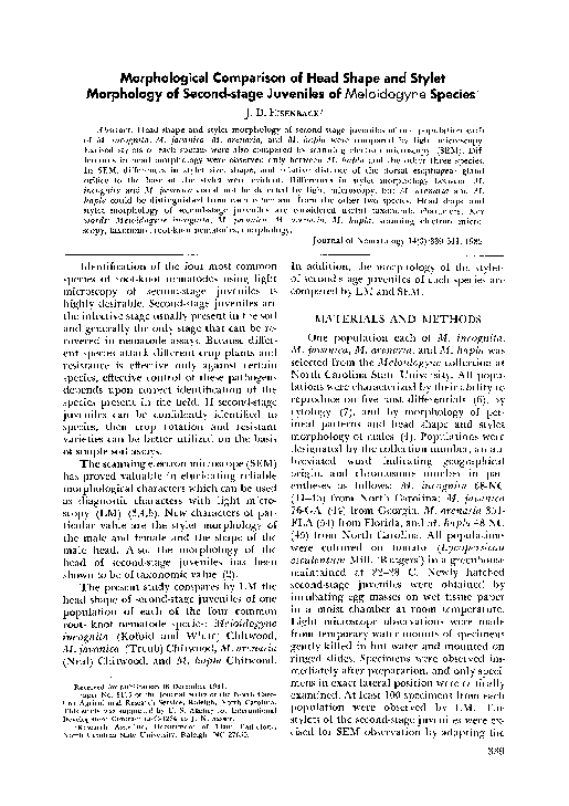 (PDF) Morphological Comparison of Head Shape and Stylet Morphology of ...
