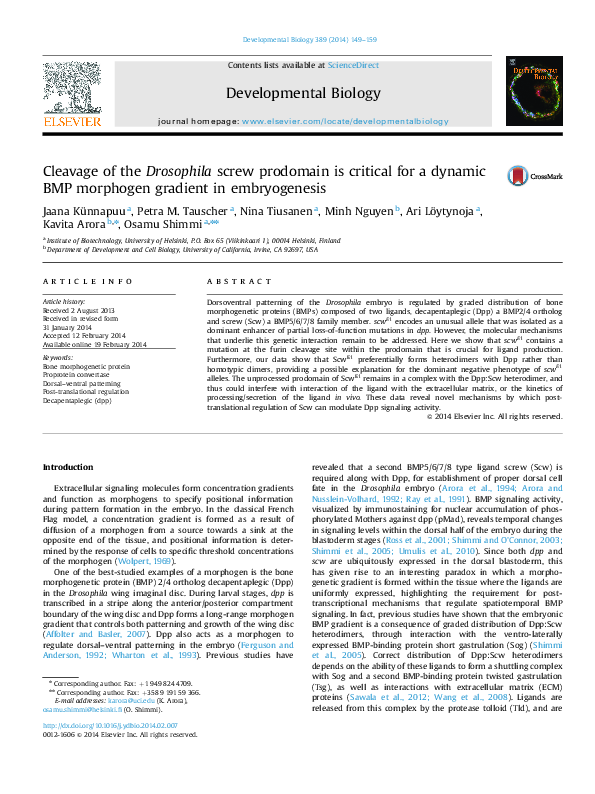 (PDF) Cleavage of the Drosophila screw prodomain is critical for a ...