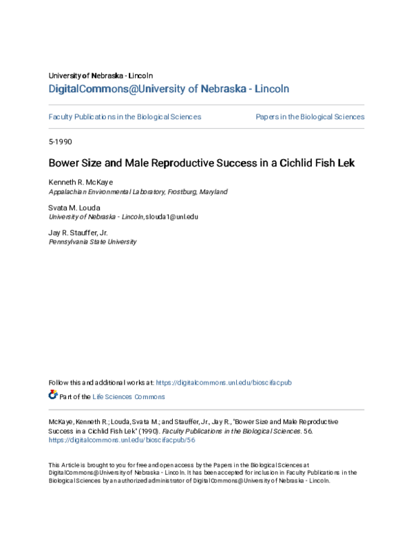 (PDF) Bower Size and Male Reproductive Success in a Cichlid Fish Lek