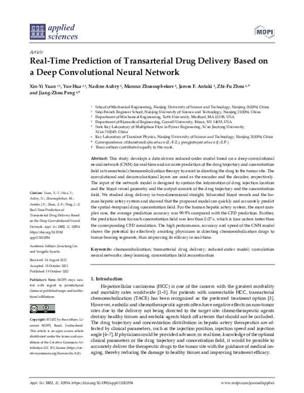 (PDF) Real-Time Prediction of Transarterial Drug Delivery Based on a ...