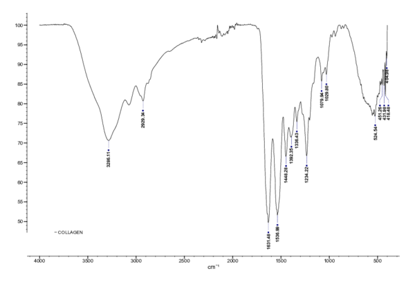 (PDF) Fourier Transform Infrared Spectroscopy (FTIR) Analysis of Fish ...