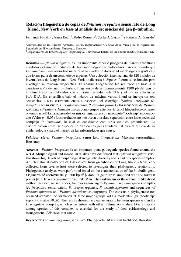 (PDF) Artículo Científico - Relación Filogenética de cepas de pythium ...