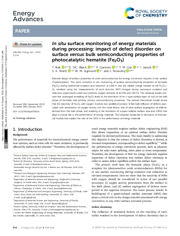 (PDF) In-Situ Surface Monitoring of Energy Materials during Processing ...