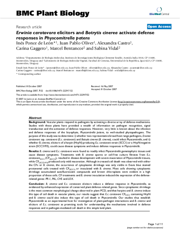 (PDF) Erwinia carotovora elicitors and Botrytis cinerea activate ...
