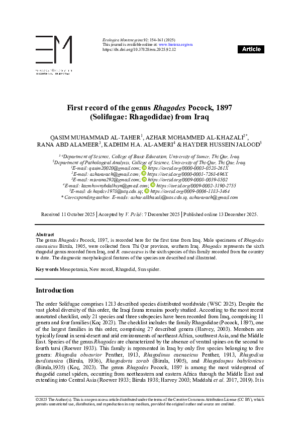 (PDF) First record of the genus Rhagodes Pocock, 1897 (Solifugae ...
