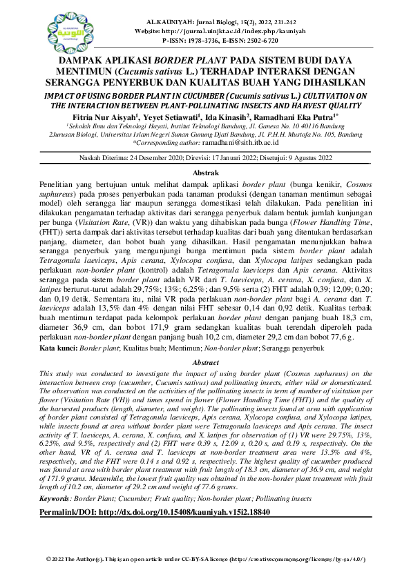 (PDF) Dampak Aplikasi Border Plant Pada Sistem Budi Daya Mentimun ...