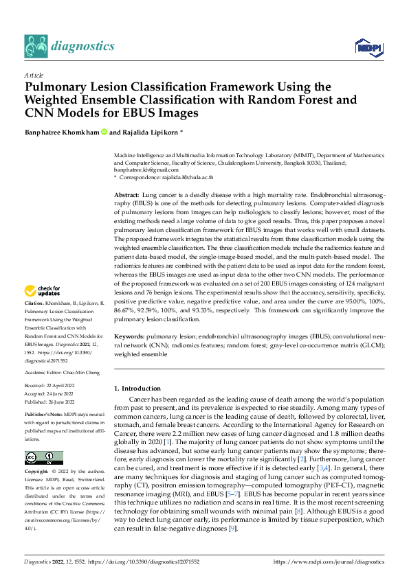 (PDF) Pulmonary Lesion Classification Framework Using the Weighted ...