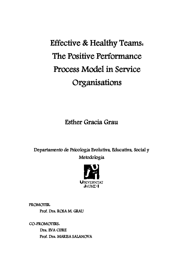 (PDF) Effective & Healthy Teams: The Positive Performance Process Model ...