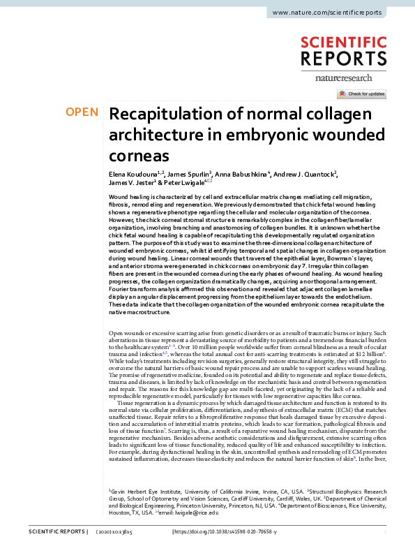(PDF) Recapitulation of normal collagen architecture in embryonic ...