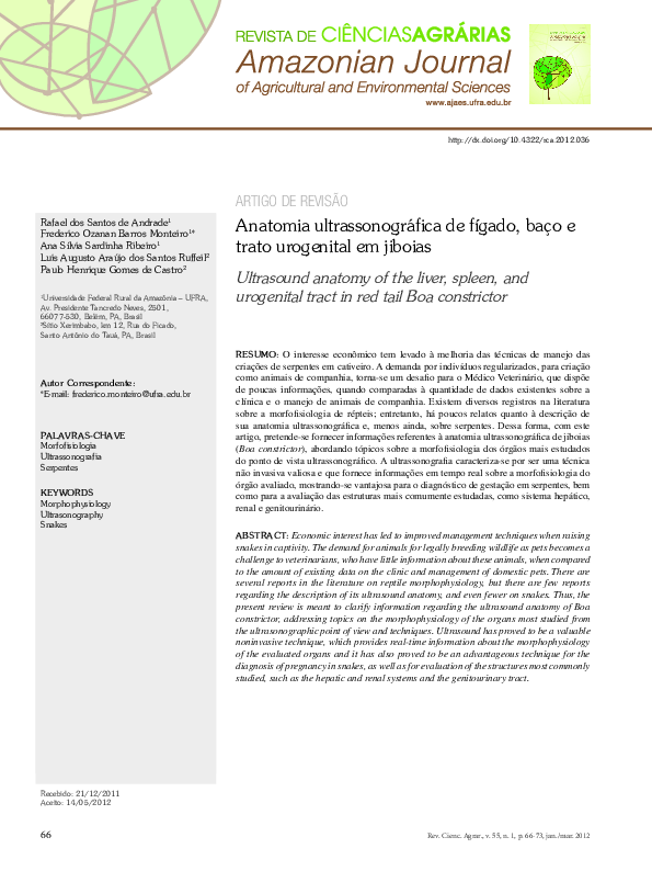 (PDF) Ultrasound anatomy of the liver, spleen, and urogenital tract in ...