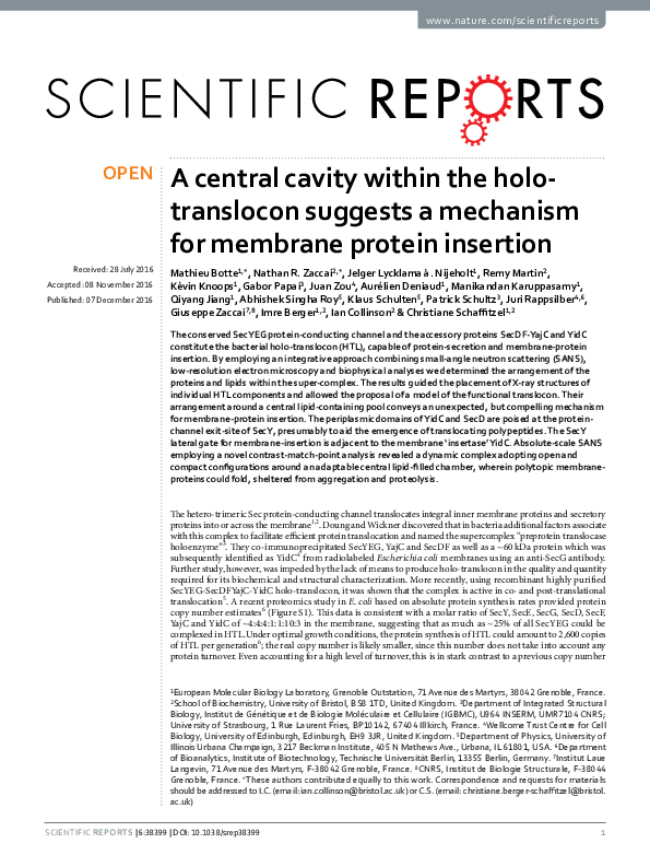 (PDF) A central cavity within the holo-translocon suggests a mechanism ...