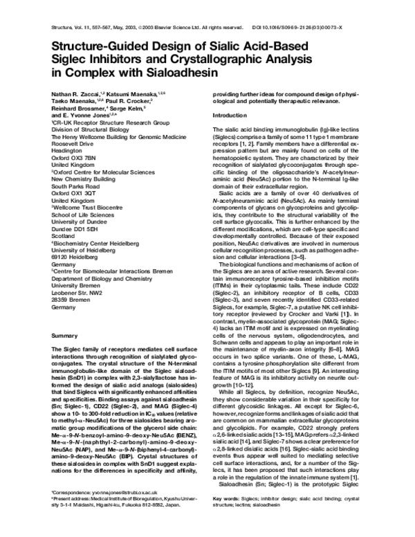 (PDF) Structure-Guided Design of Sialic Acid-Based Siglec Inhibitors ...