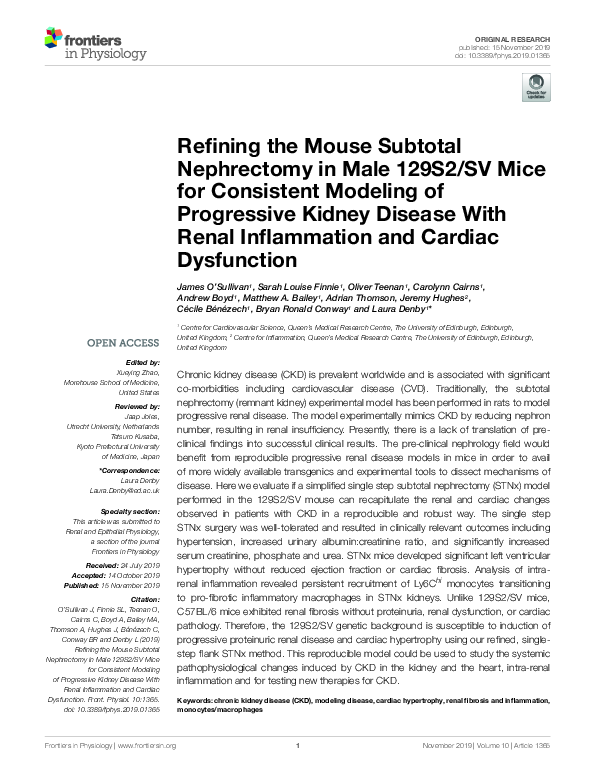 (PDF) Refining the Mouse Subtotal Nephrectomy in Male 129S2/SV Mice for ...