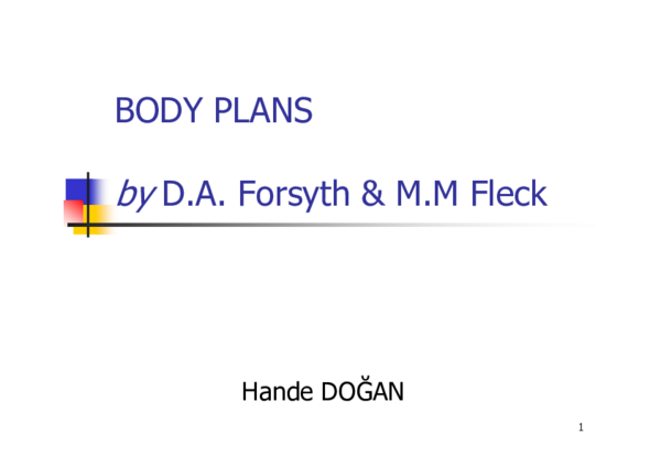 (PDF) Body plans