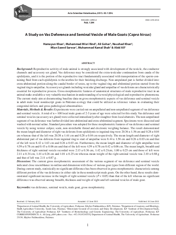 (PDF) A Study on Vas Deference and Seminal Vesicle of Male Goats (Capra ...