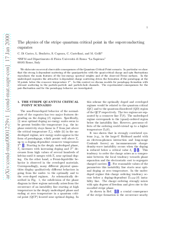 (PDF) The physics of the stripe quantum critical point in the ...