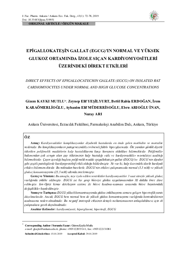 (PDF) Epi̇gallokateşi̇n Gallat (Egcg)’In Normal Ve Yüksek Glukoz ...