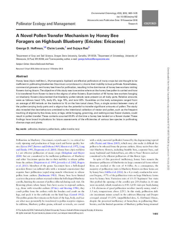 (PDF) A Novel Pollen Transfer Mechanism by Honey Bee Foragers on ...