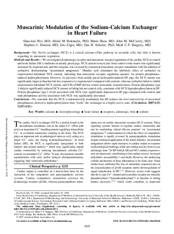 (PDF) Muscarinic Modulation of the Sodium-Calcium Exchanger in Heart ...